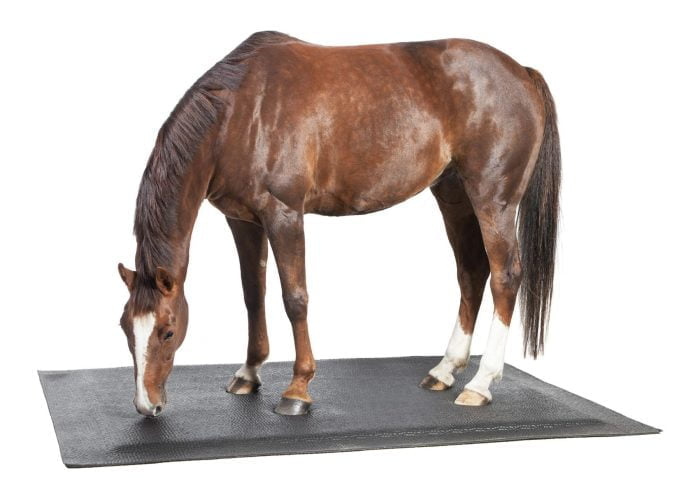 SoftBed Comfort Stall Mattress: Foam-Padded for Horse Well-being