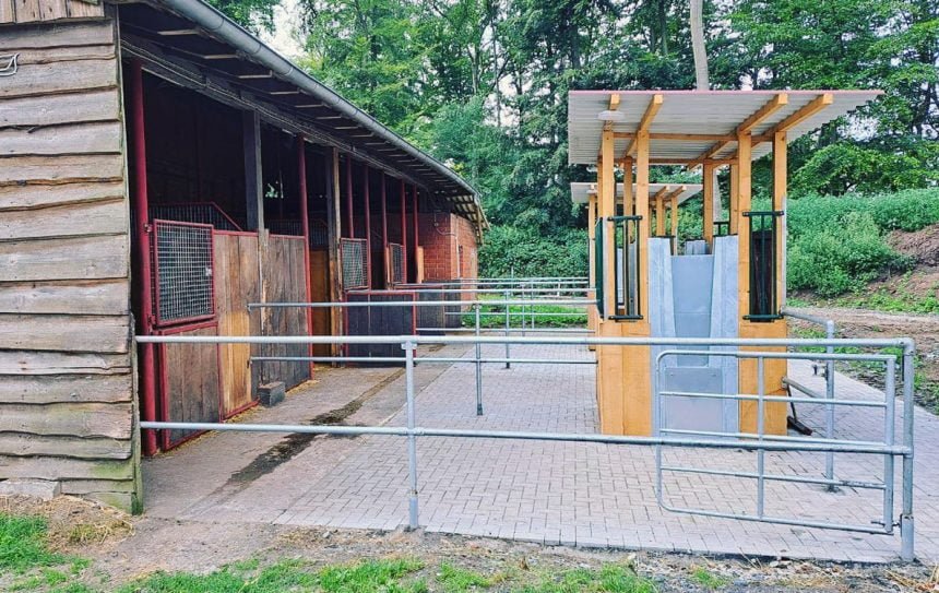 Automatic Horse Feeders - Footing Solutions LLC