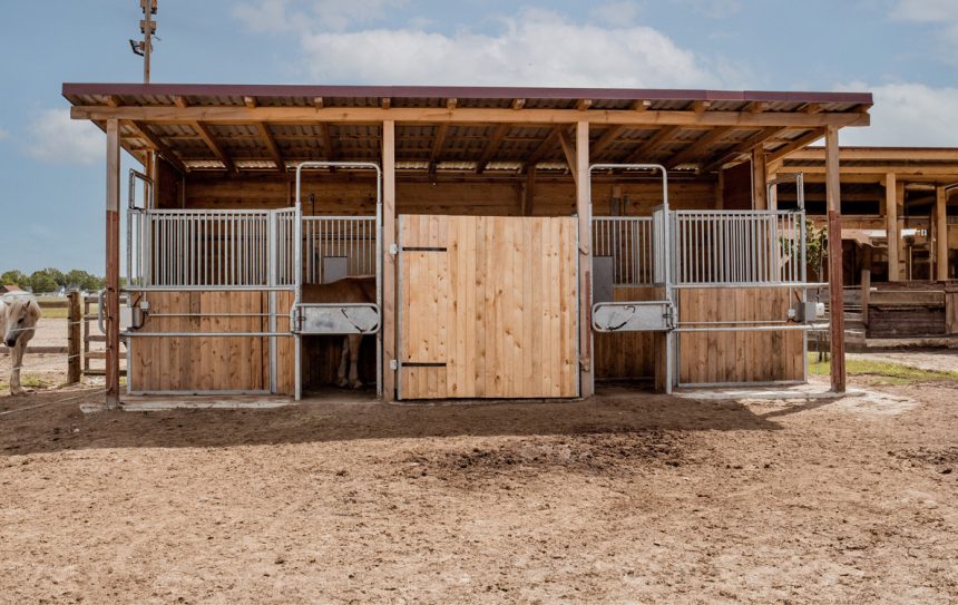 Automatic Horse Feeders - Footing Solutions LLC