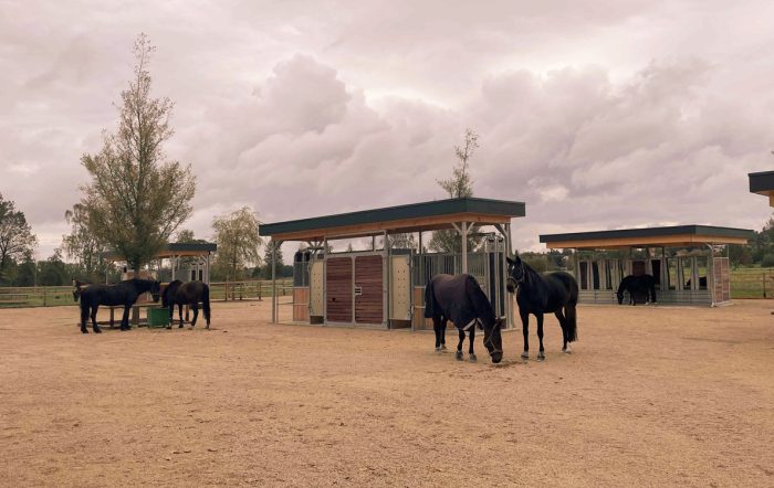 Automatic Horse Feeders - Footing Solutions LLC