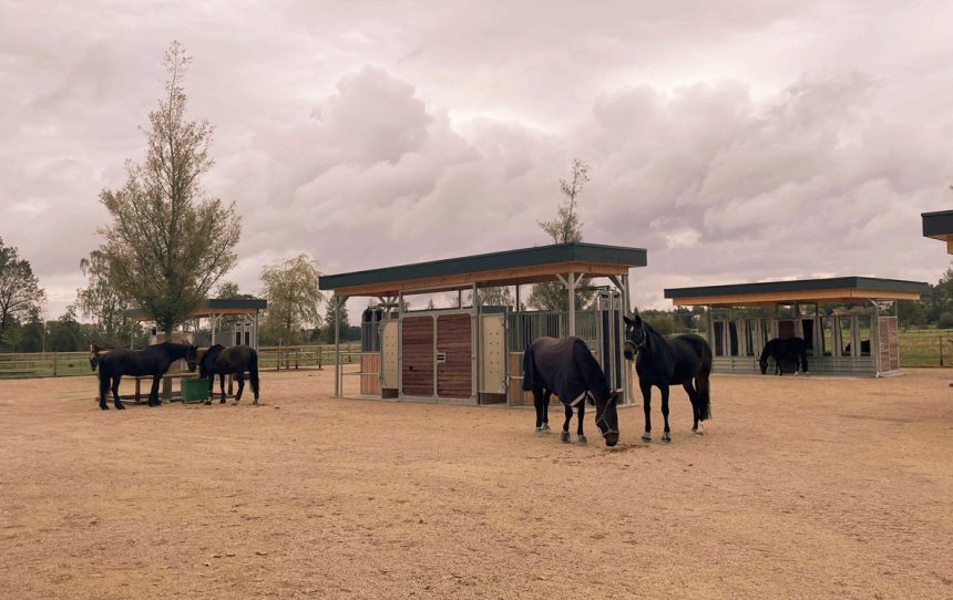 Automatic Horse Feeders - Footing Solutions LLC