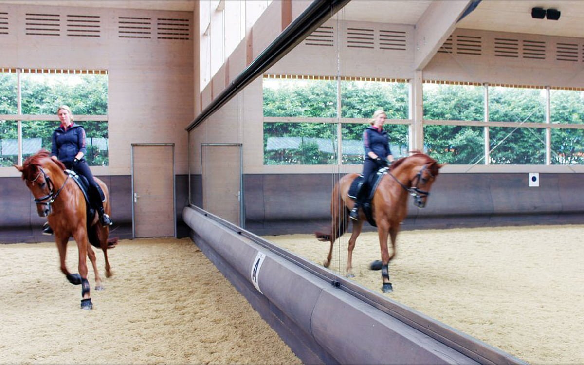 Horse Arena Mirrors - Footing Solutions LLC