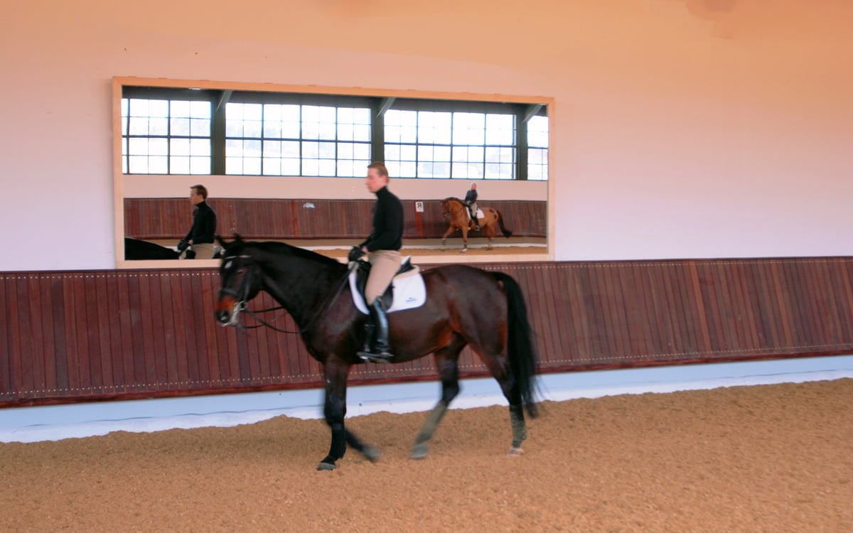 Horse Arena Mirrors - Footing Solutions LLC