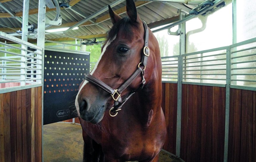 Kraft Horse Walkers - Footing Solutions LLC